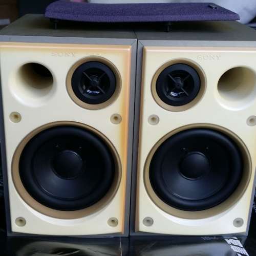 SONY Passive Speakers - DCFever.com